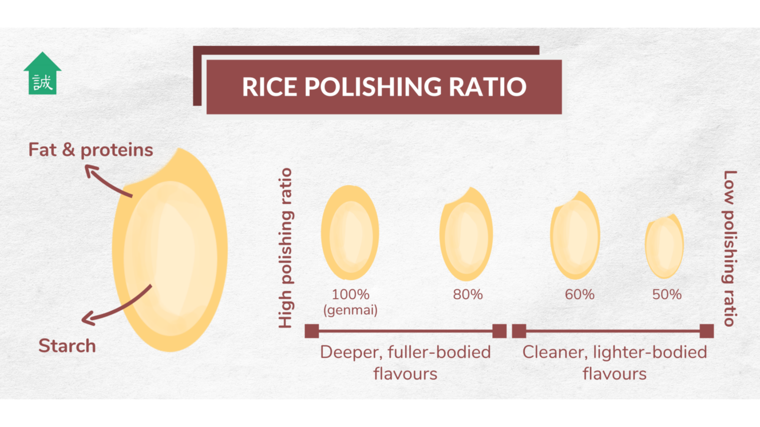 Sake Guide: SMV and Rice Polishing Ratio – Makoto-Ya Singapore