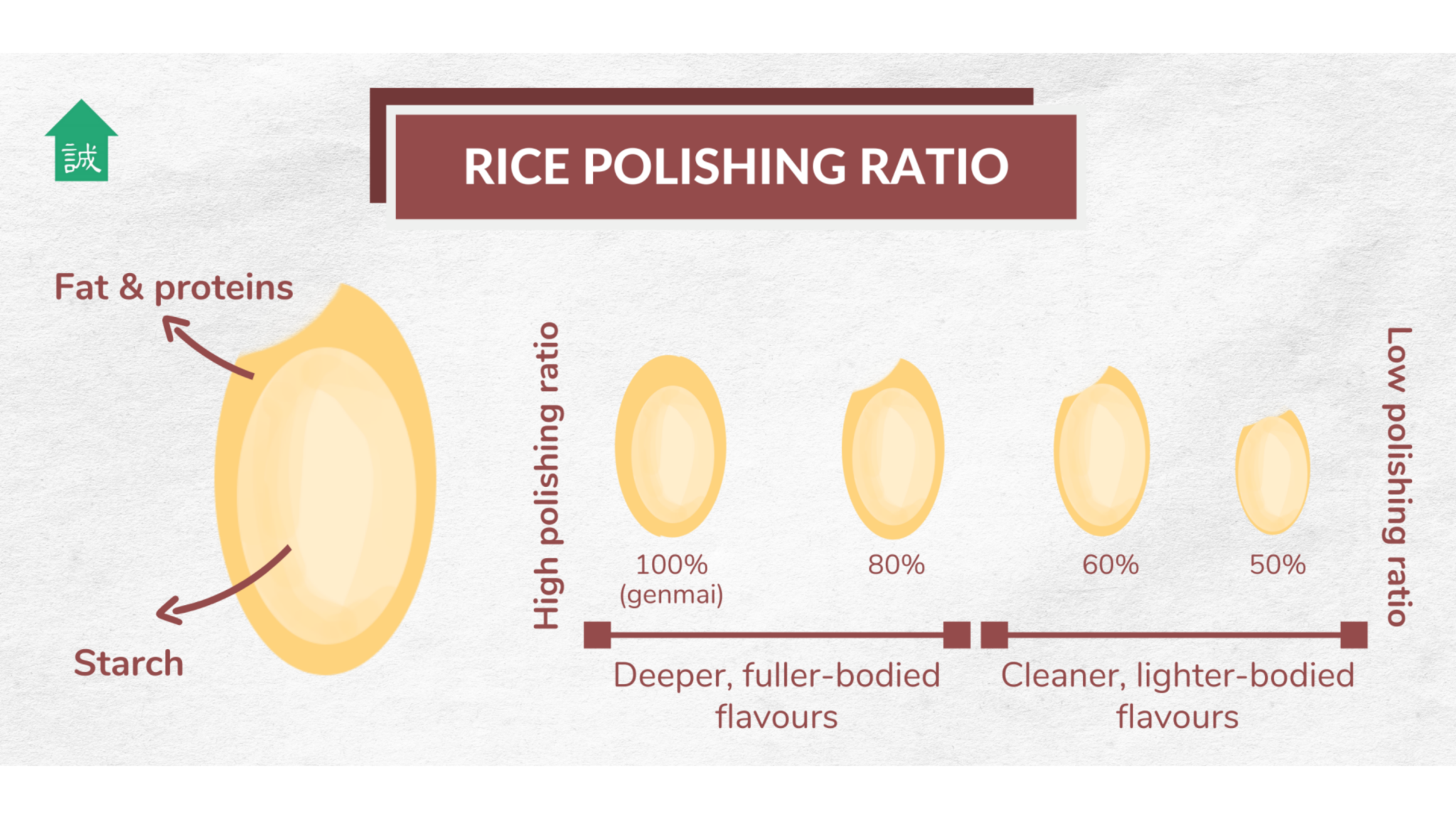 Sake Guide: SMV and Rice Polishing Ratio – Makoto-Ya Singapore